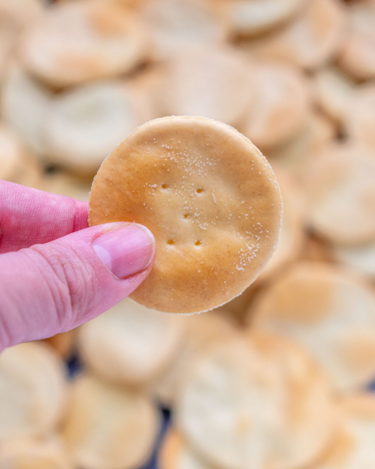Traditional Maltese Bigilla and Galletti | Apron & Whisk